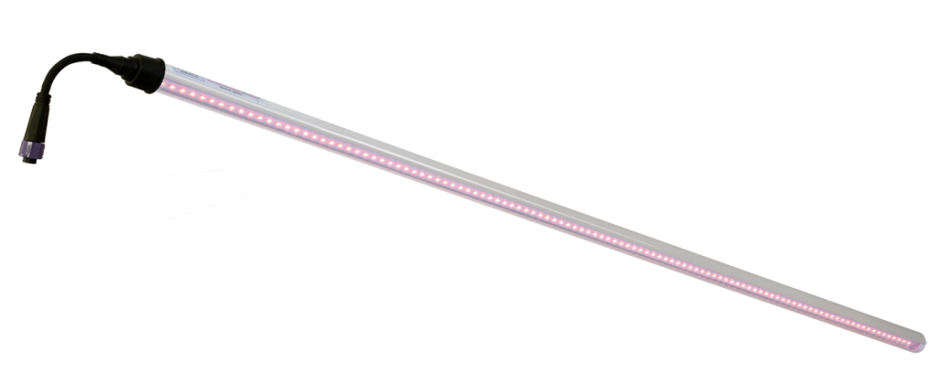 Valoya Serie L14 - Virextech