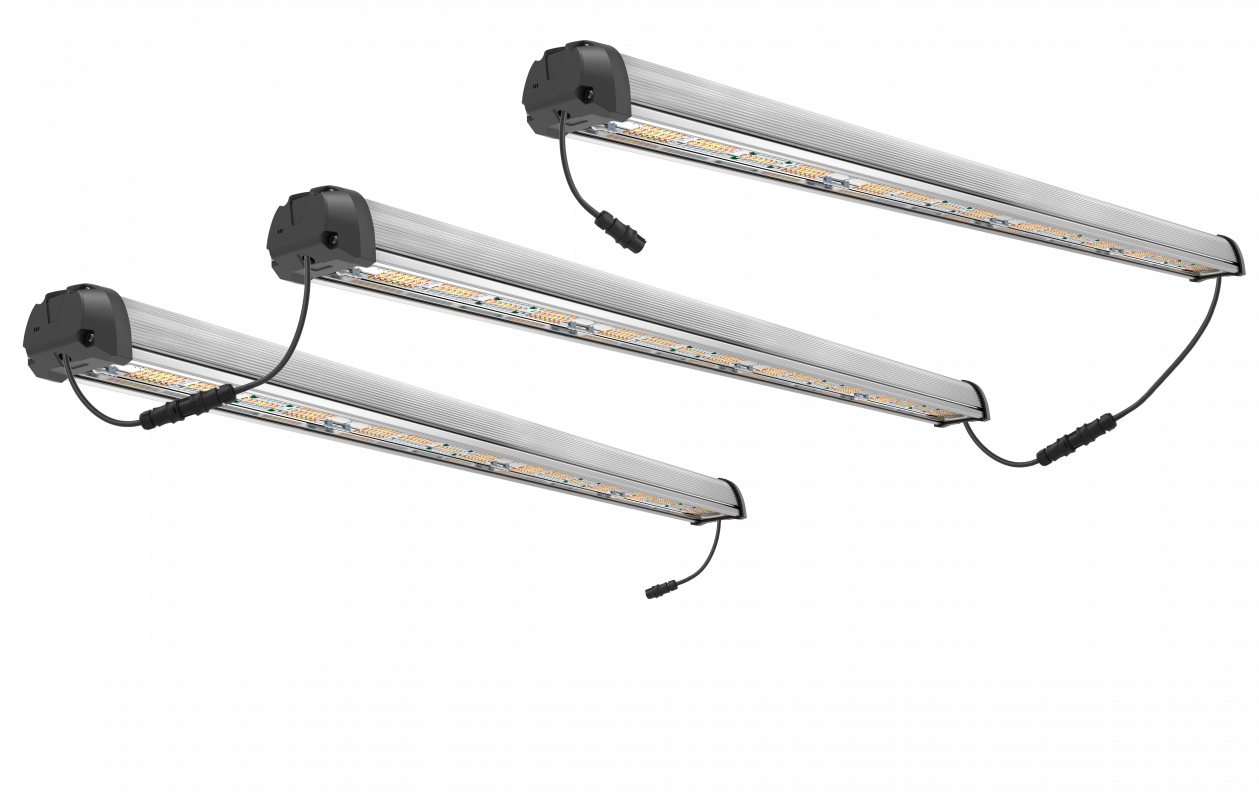 Valoya BL120 - Virextech